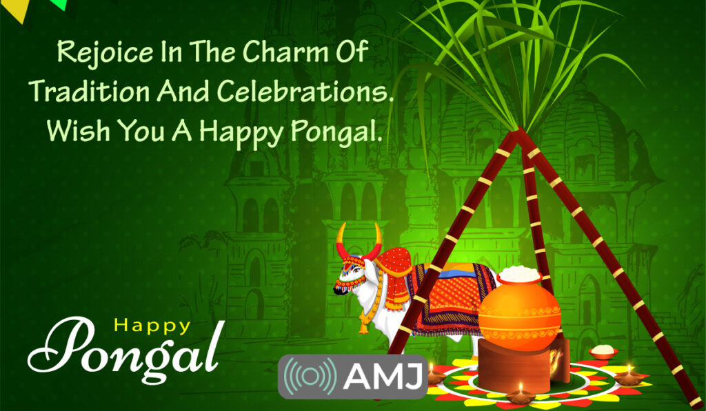 Happy Pongal 2025: Wishes, Messages, Quotes, Whatsapp Status & Shayari ...