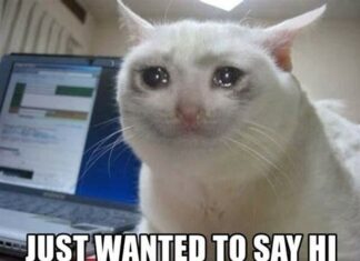 Engaging and Hilarious Hi Memes that Make great Conversation Starters - AMJ