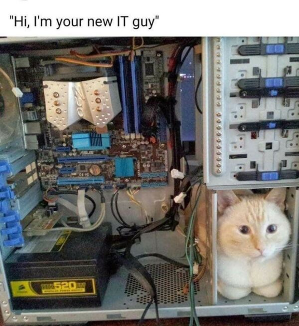 Engaging and Hilarious Hi Memes that Make great Conversation Starters - AMJ