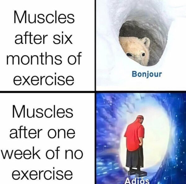 Hilarious Adios Memes that will leave you Cackling - AMJ