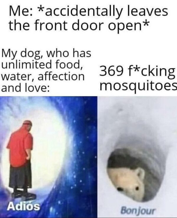 Hilarious Adios Memes that will leave you Cackling - AMJ