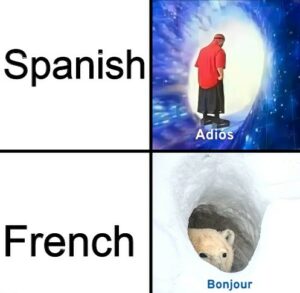 Bonjour Memes that are Straight Up Funny and Hilarious - AMJ
