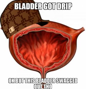 Funny Drip Memes that Will Cheer You Up - AMJ