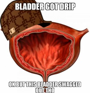 Funny Drip Memes that Will Cheer You Up - AMJ