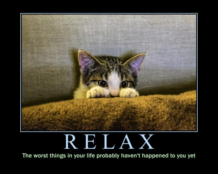 20 Hilarious Relax Memes to Brighten Your Day and Relieve Stress - AMJ