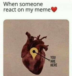 Warming and Emotional Heart Memes that you can Save for your Reaction ...