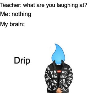 Funny Drip Memes that Will Cheer You Up - AMJ