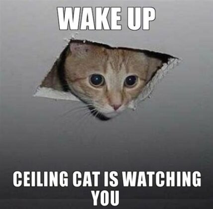 Funny Wake Up Memes for every Late Riser - AMJ