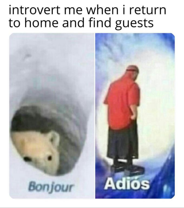 Bonjour Memes that are Straight Up Funny and Hilarious - AMJ