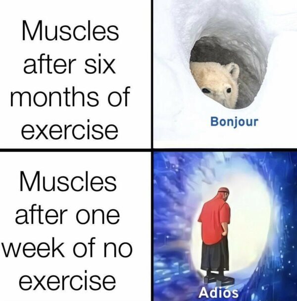 Bonjour Memes that are Straight Up Funny and Hilarious - AMJ