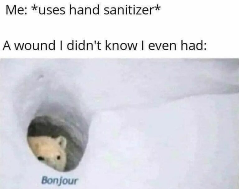Bonjour Memes That Are Straight-Up Funny and Hilarious (2026 Edition) - AMJ