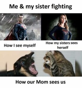 Funny Fighting Memes That Are Going Viral: Get Your Daily Dose of ...