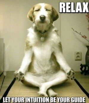 20 Hilarious Relax Memes to Brighten Your Day and Relieve Stress - AMJ