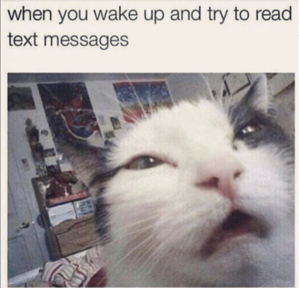Funny Wake Up Memes for every Late Riser - AMJ