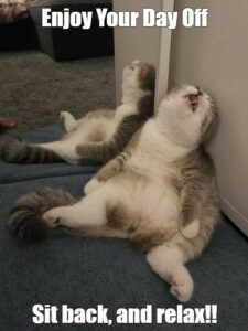 20 Hilarious Relax Memes to Brighten Your Day and Relieve Stress - AMJ