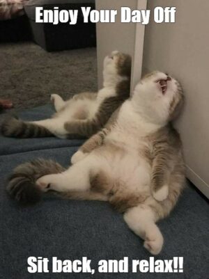 20 Hilarious Relax Memes to Brighten Your Day and Relieve Stress - AMJ