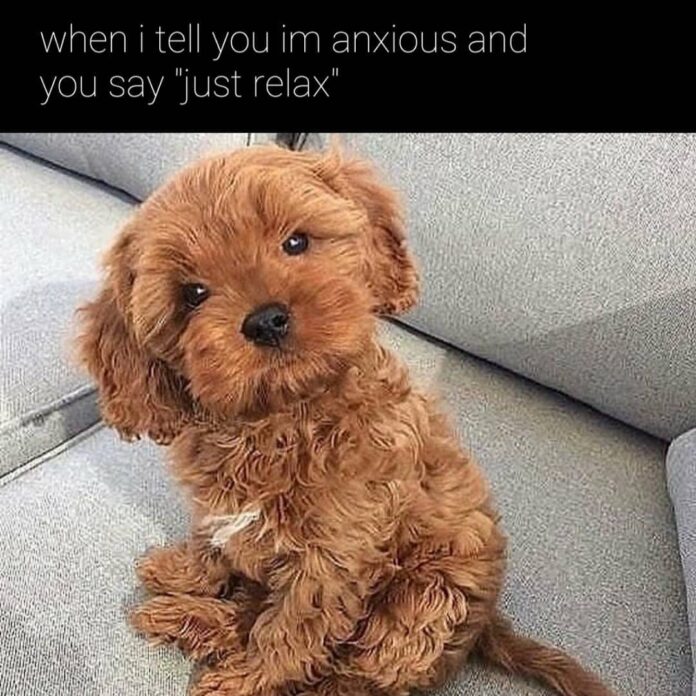 20 Hilarious Relax Memes to Brighten Your Day and Relieve Stress - AMJ