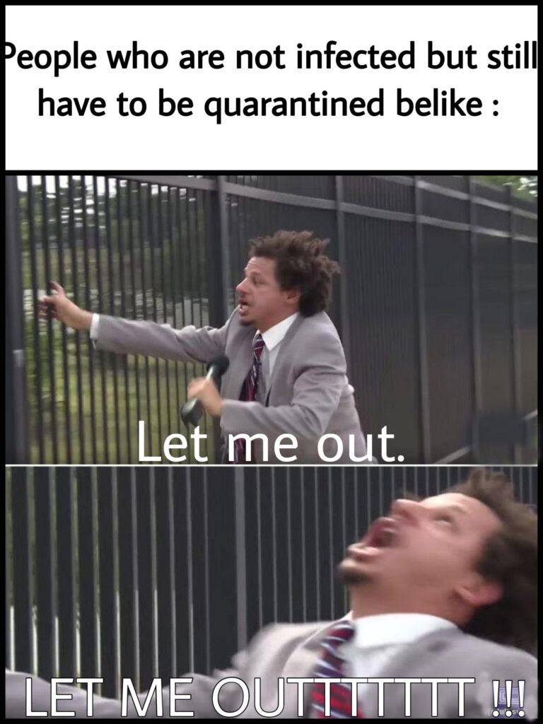 How To Create Your Own Memes Using Let Me in Meme Template? - AMJ