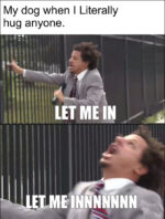 How To Create Your Own Memes Using Let Me in Meme Template? - AMJ