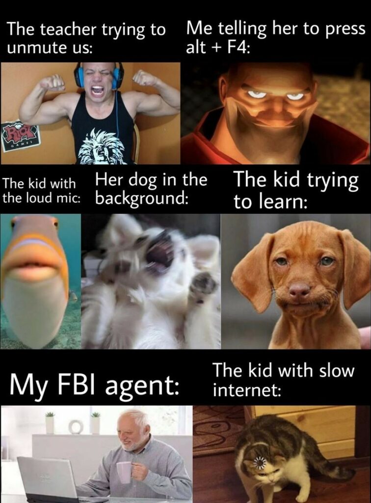 Popular and Creative Online Class Memes Every Student Needs to See - AMJ