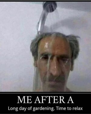 20 Hilarious Relax Memes to Brighten Your Day and Relieve Stress - AMJ