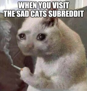 Share the Best Sad Cat Memes: Funny, Relatable, and Perfect for ...