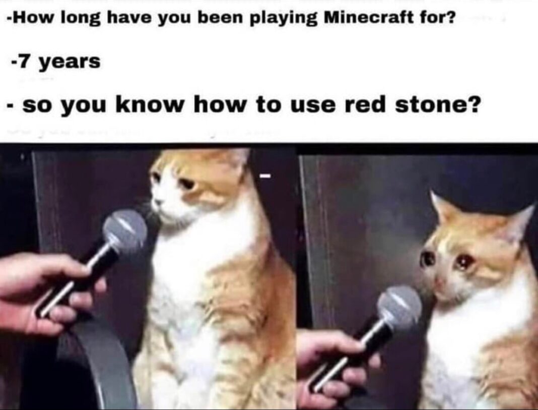 Hilarious and On-point Sad Cat Memes to Share Relatable Reaction in a ...