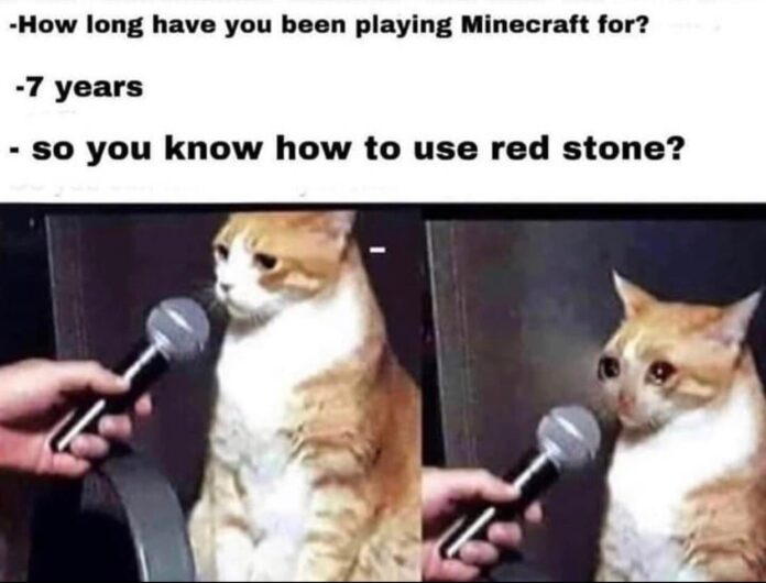 Share the Best Sad Cat Memes: Funny, Relatable, and Perfect for ...