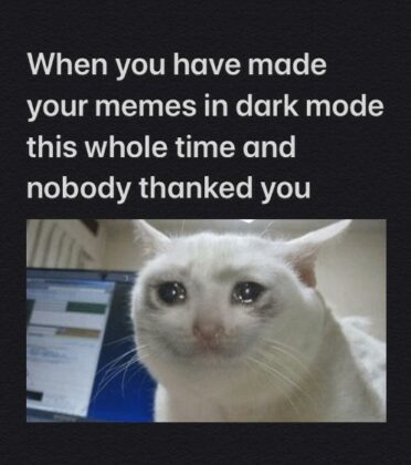 Share the Best Sad Cat Memes: Funny, Relatable, and Perfect for ...