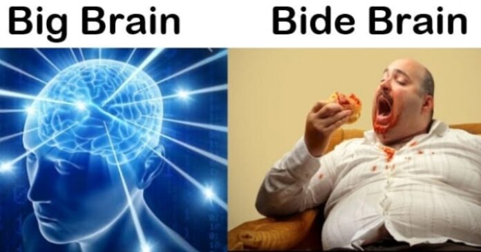 Funny Big Brain Memes The Sarcastic Genius Taking The Internet By Funny Big Brain Memes The Sarcastic Genius Taking The Internet By