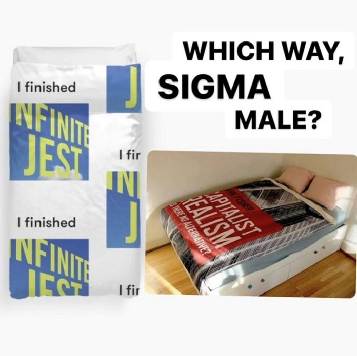 Funny Sigma Male Memes – The Ultimate Collection of Lone Wolf Humor - AMJ