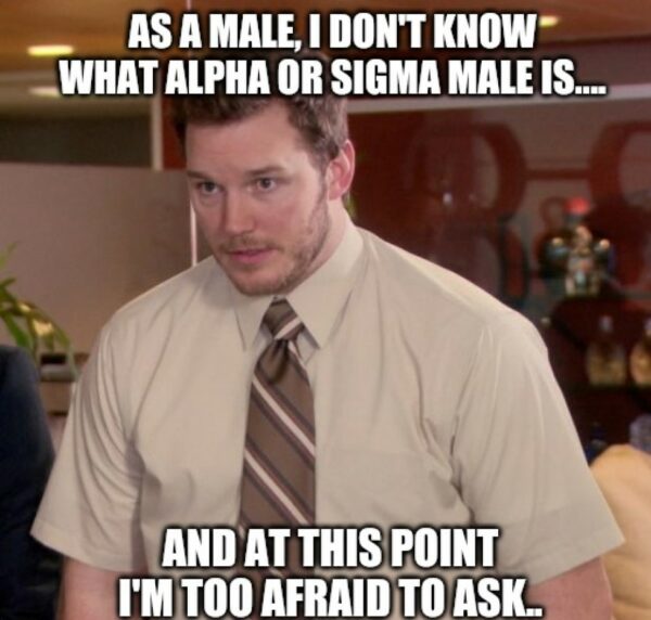 Common yet Viral Sigma Male Memes that You Need for all the Laughs - AMJ