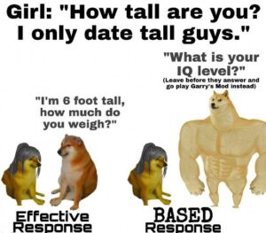 Funny Sigma Male Memes – The Ultimate Collection of Lone Wolf Humor - AMJ