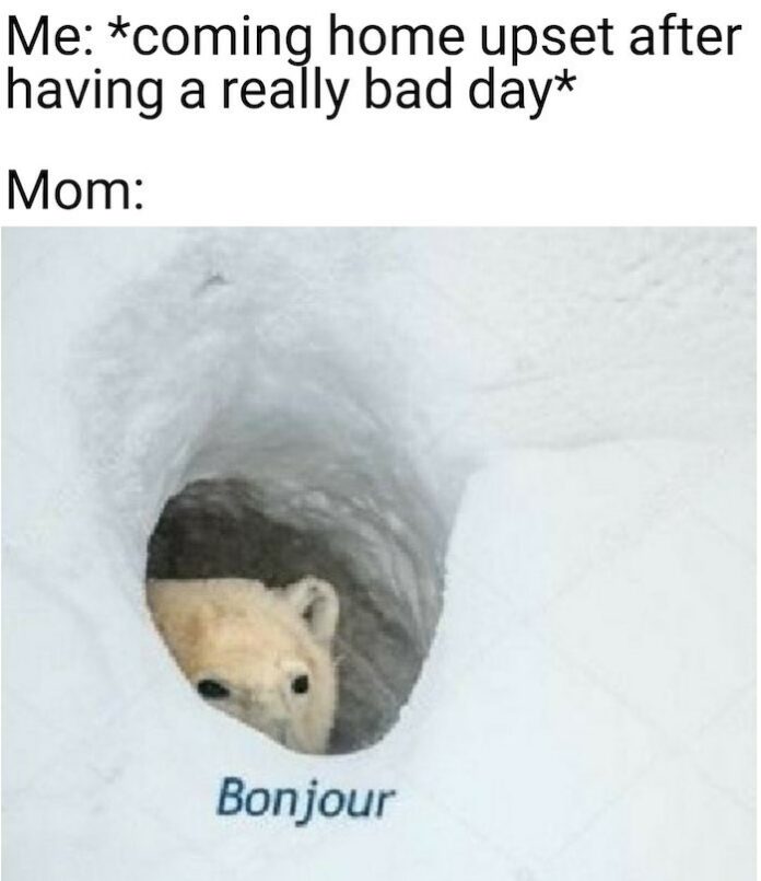 Bonjour Memes that are Straight Up Funny and Hilarious - AMJ