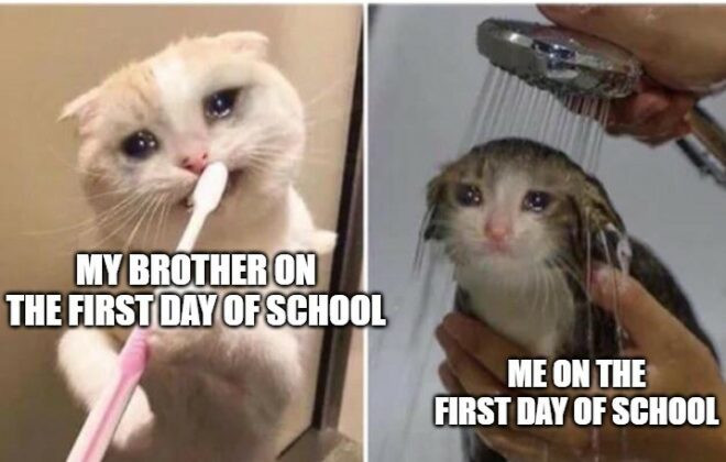 Hilarious and On-point Sad Cat Memes to Share Relatable Reaction in a ...