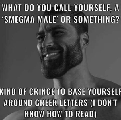 Common yet Viral Sigma Male Memes that You Need for all the Laughs - AMJ