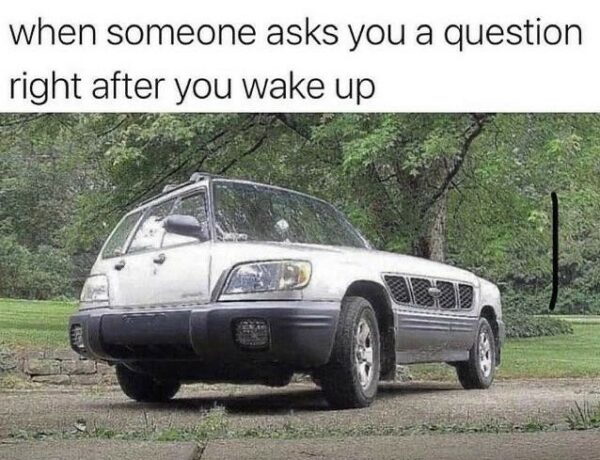 Funny Wake Up Memes for every Late Riser - AMJ