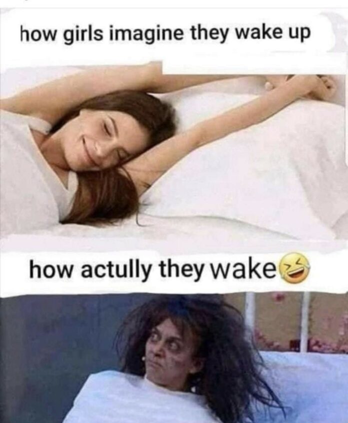Funny Wake Up Memes for every Late Riser - AMJ