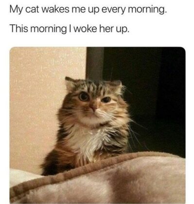 Funny Wake Up Memes for every Late Riser - AMJ