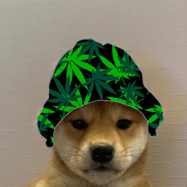 Funny Dog PFPs 2024: Hilarious Dog Profile Pictures to Brighten Your ...