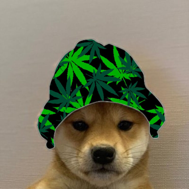 Funny Dog PFPs 2024: Hilarious Dog Profile Pictures to Brighten Your ...