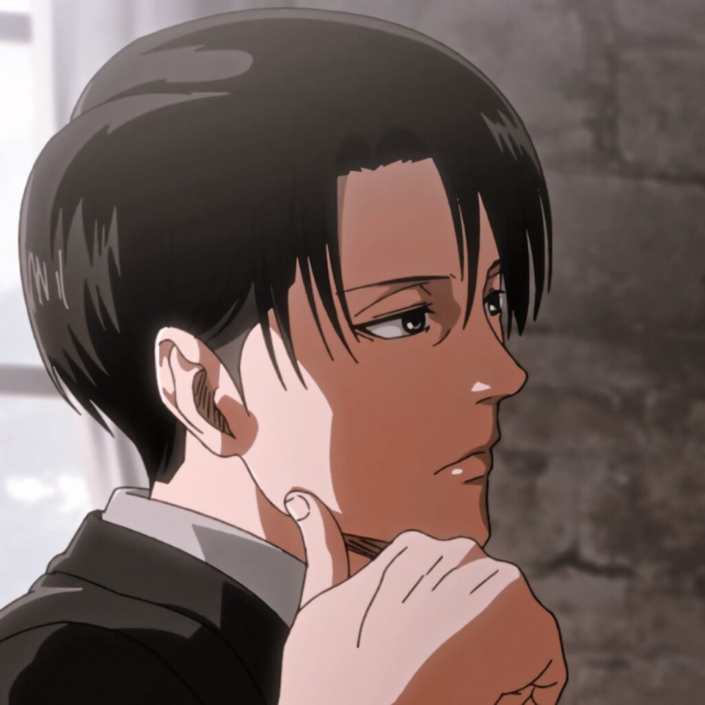 Top Epic Attack on Titan Levi PFPs 2024: Best Profile Pictures for Fans ...