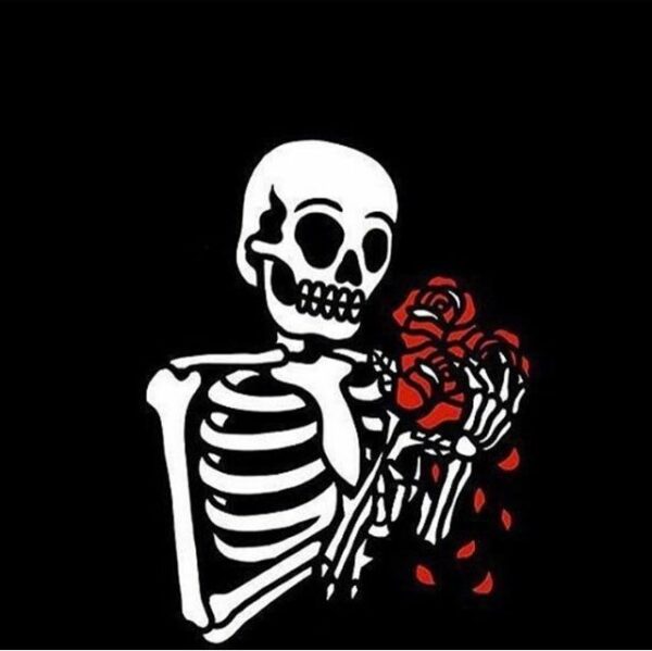 Unique Skeleton PFPs Designs 2024: Stand Out with Cool & Creative Skeleton Avatars