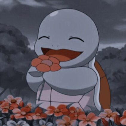 New Pokémon PFP for All Pokémon Fans - AMJ