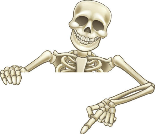 Unique Skeleton PFPs Designs 2024: Stand Out with Cool & Creative ...