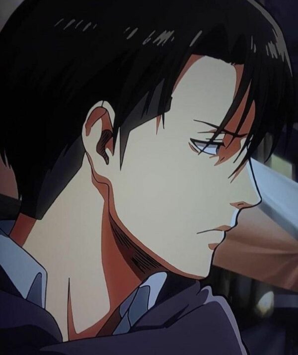Top Epic Attack on Titan Levi PFPs 2024: Best Profile Pictures for Fans ...