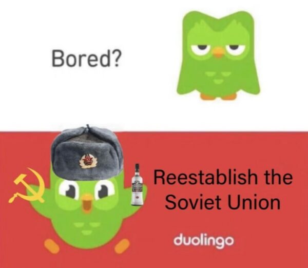 Duolingo Memes That Are Funny, Slightly Threatening, and Totally ...