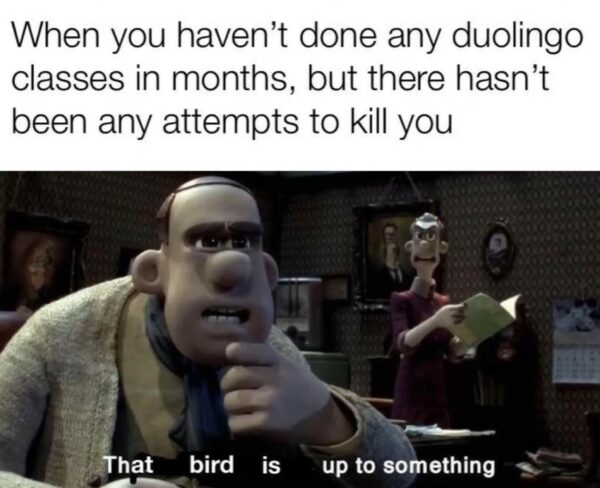 Duolingo Memes That Are Funny, Slightly Threatening, and Totally ...