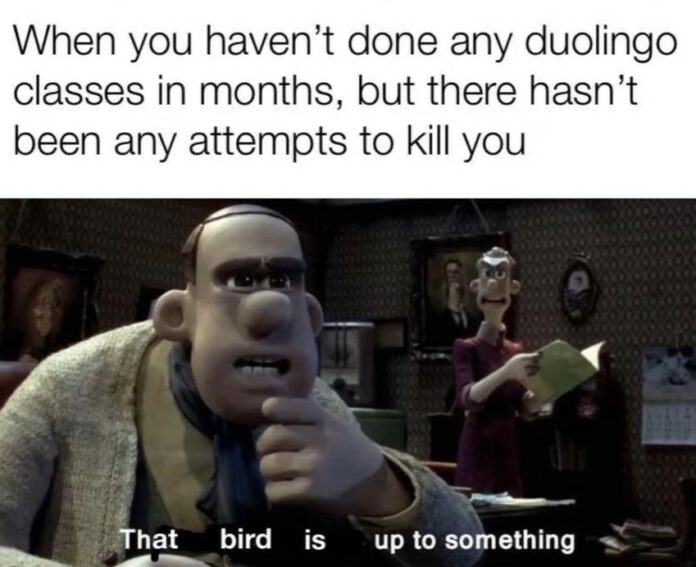 Duolingo Memes That Are Funny, Slightly Threatening, and Totally ...