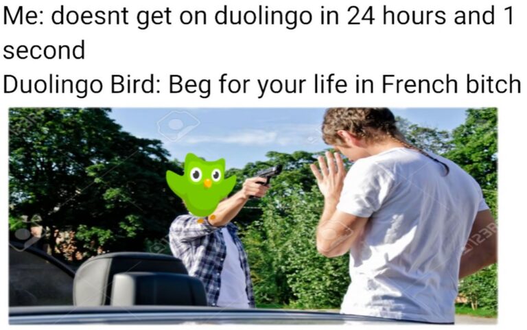 Duolingo Memes That Are Funny, Slightly Threatening, and Totally ...